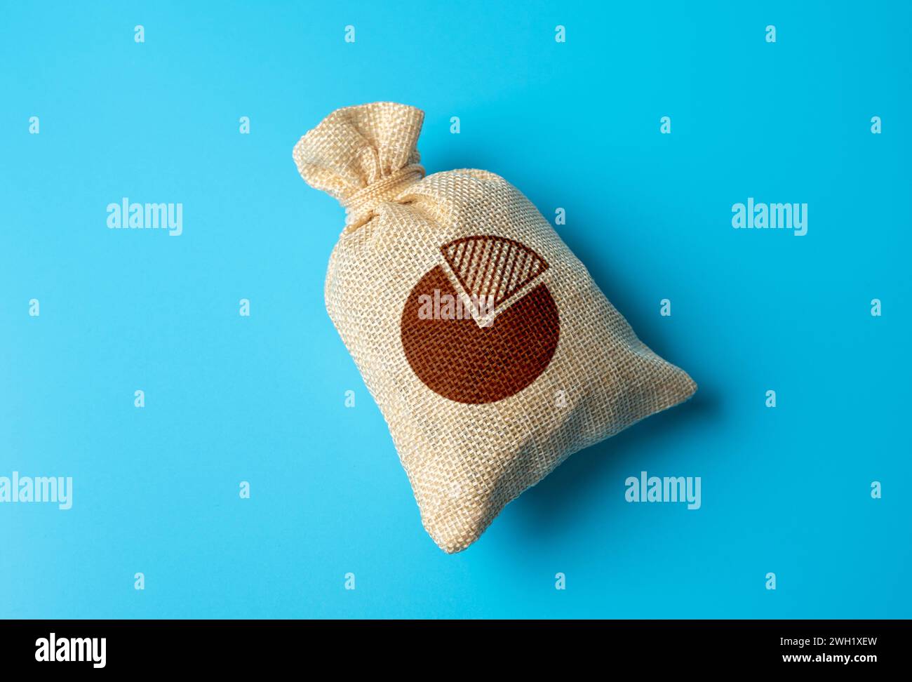 Money bag with pie chart symbol. Budget. Financial plan. Distribution ...