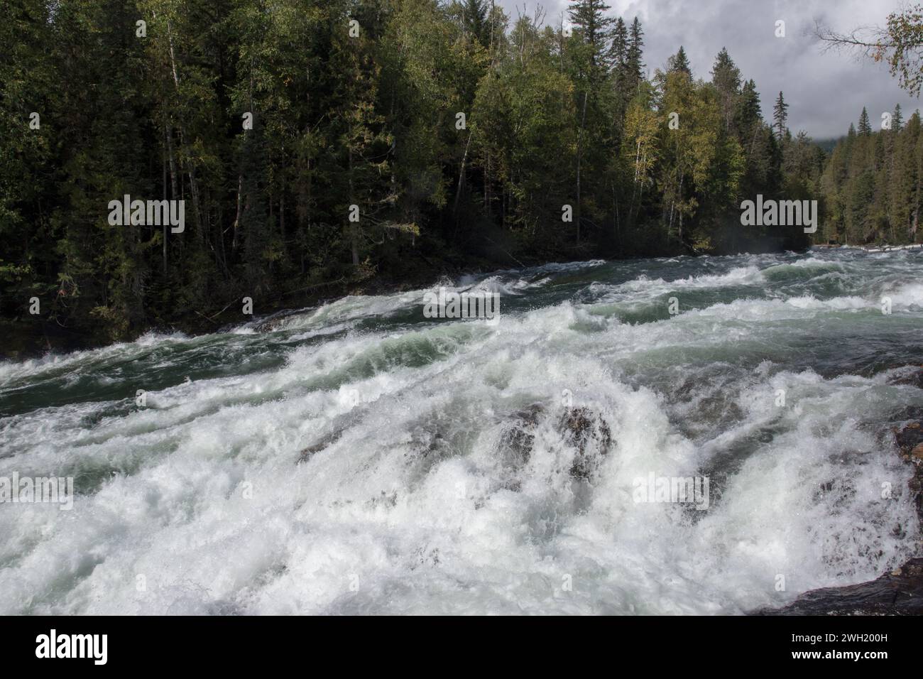 Bailay's Chute is a well known rapid along Clearwater River in Wells ...