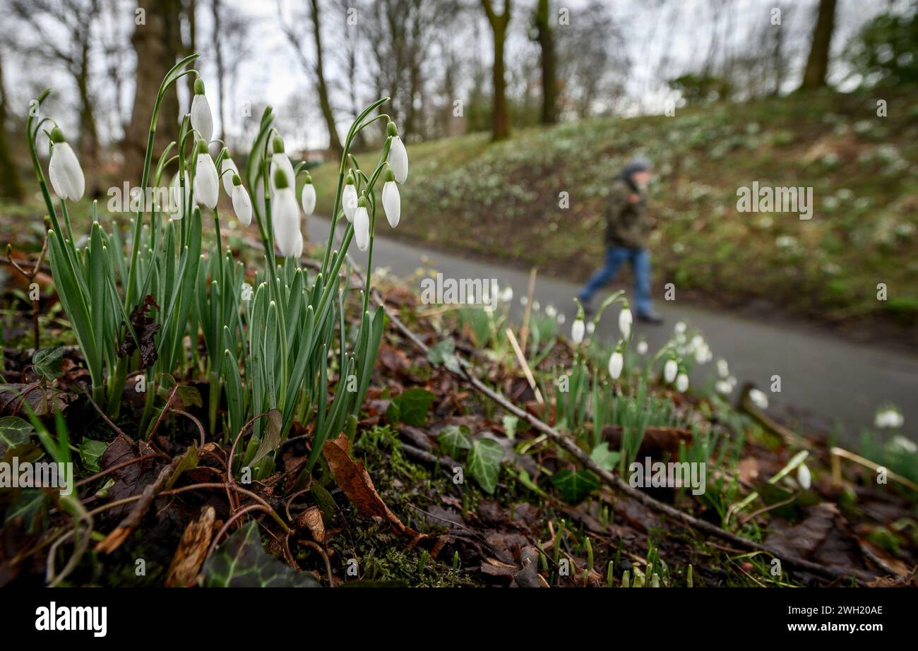 Bolton, England, UK, Wednesday February 07, 2024. Walkers pass a crop ...
