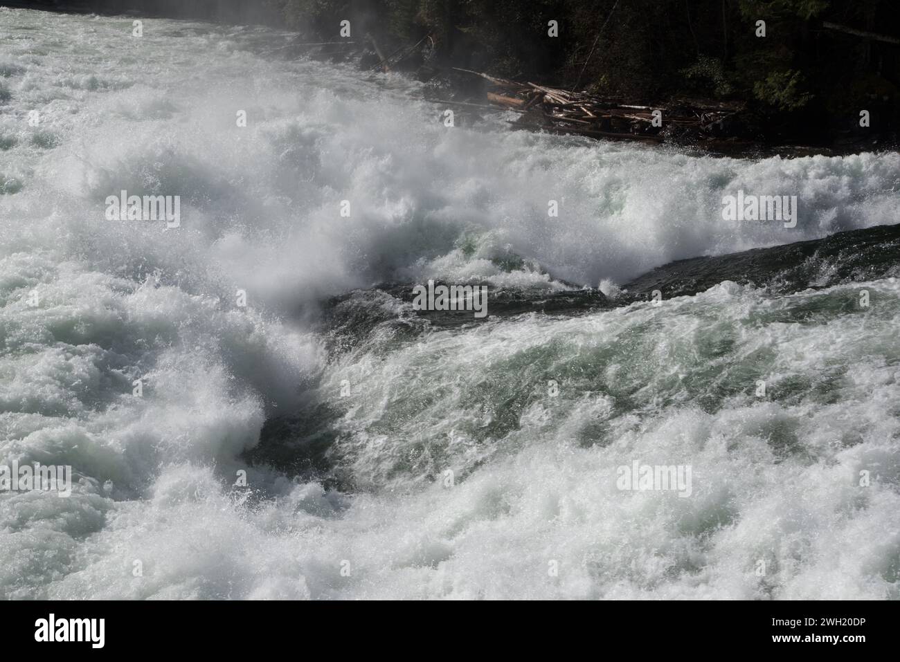 Bailay's Chute is a well known rapid along Clearwater River in Wells ...