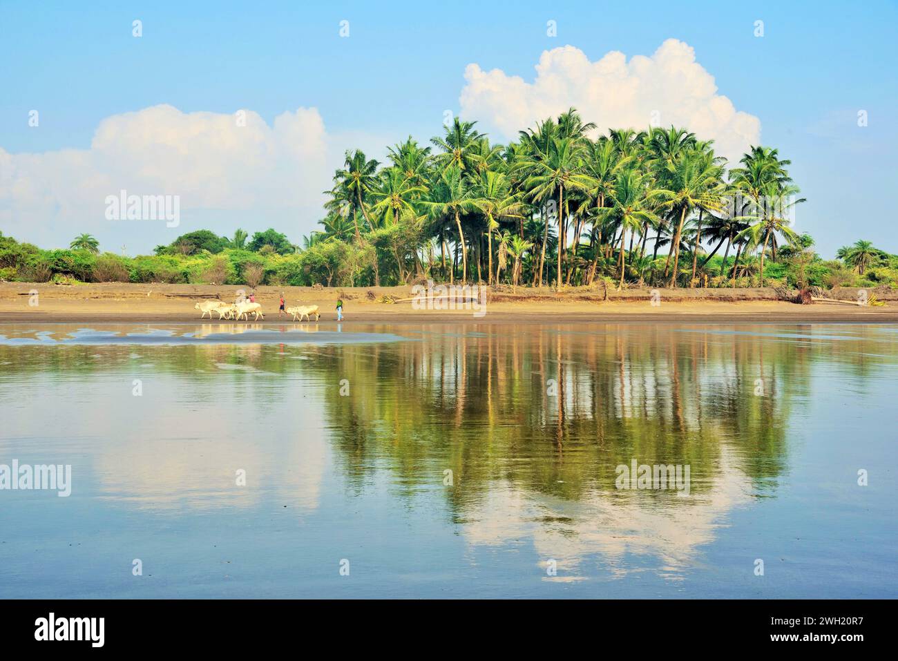 Bhagal beaches hi-res stock photography and images - Alamy