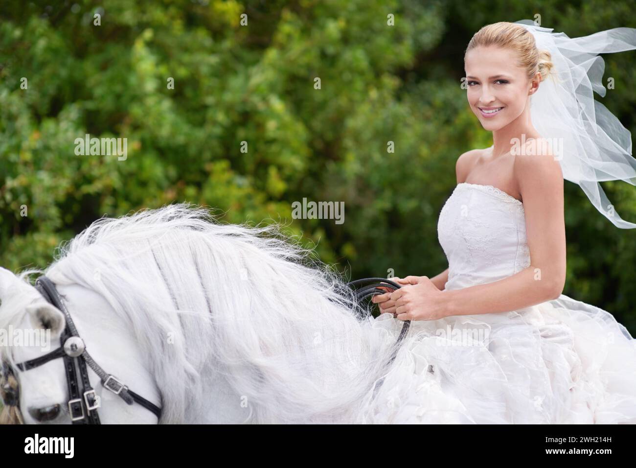 Wedding, bride and riding with horse or portrait outdoor with happiness ...