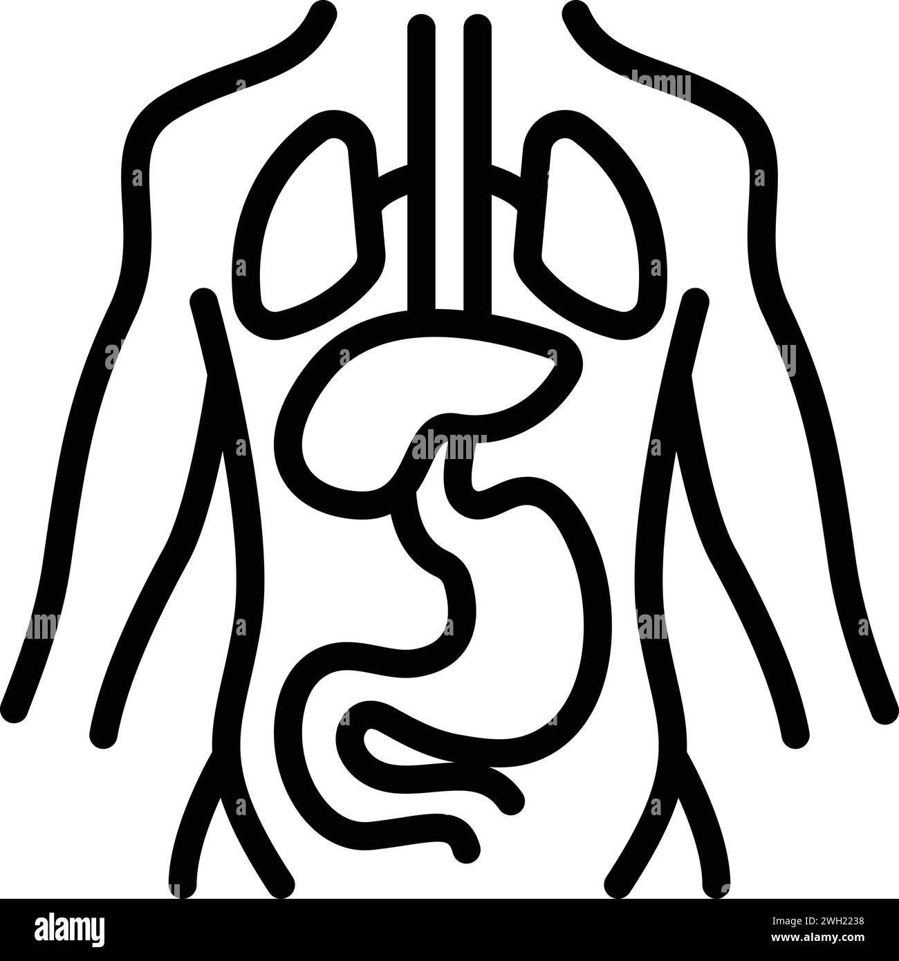 Icon for anatomy,medical Stock Vector Image & Art - Alamy