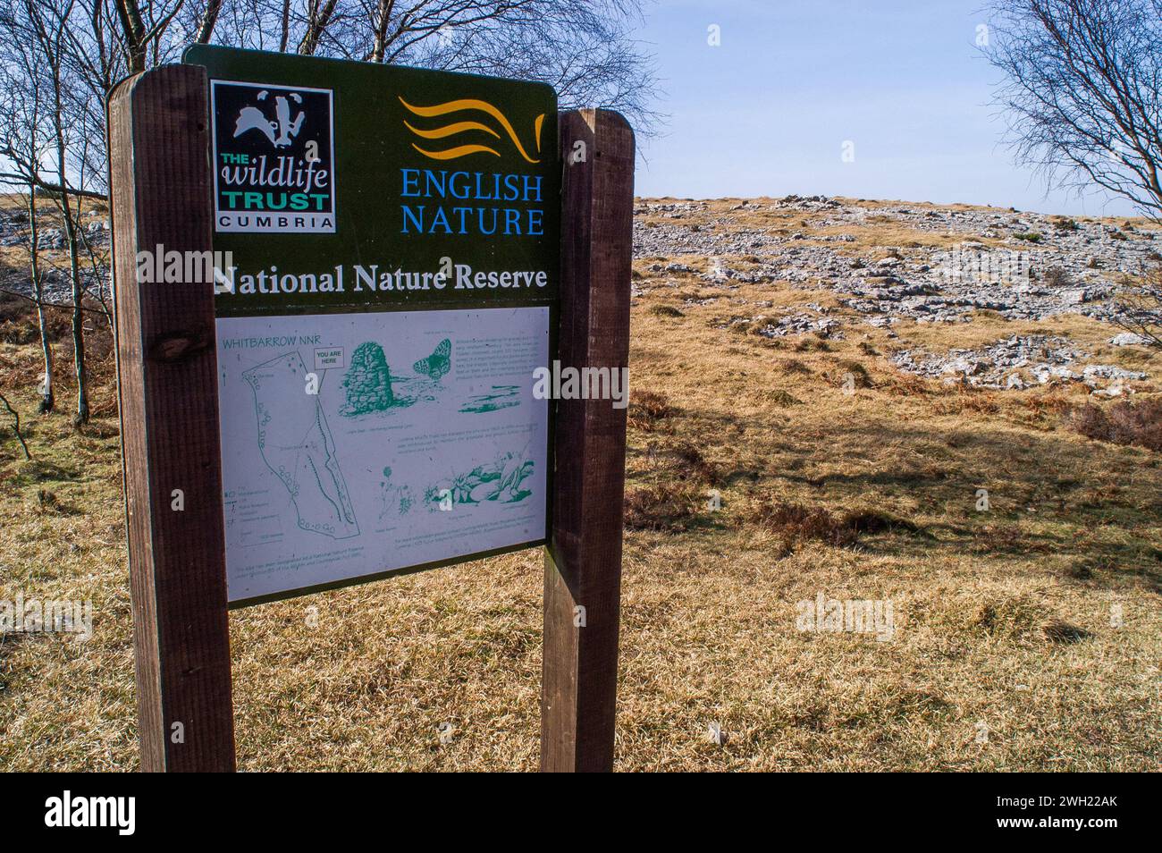 Whitbarrow Scar, National Nature Reserve, Cumbria, England, United ...