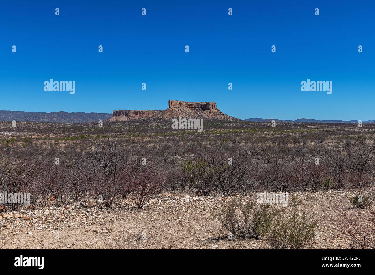 View Of The Ugab Valley With Its Table Mountains, Damaraland, Namibia ...