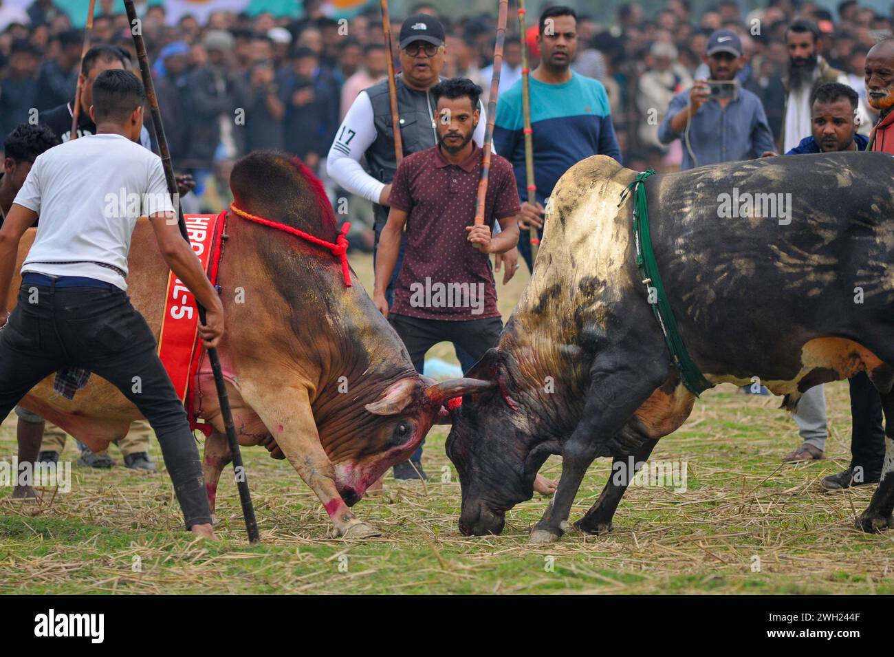 Khasarkandi field hi-res stock photography and images - Alamy