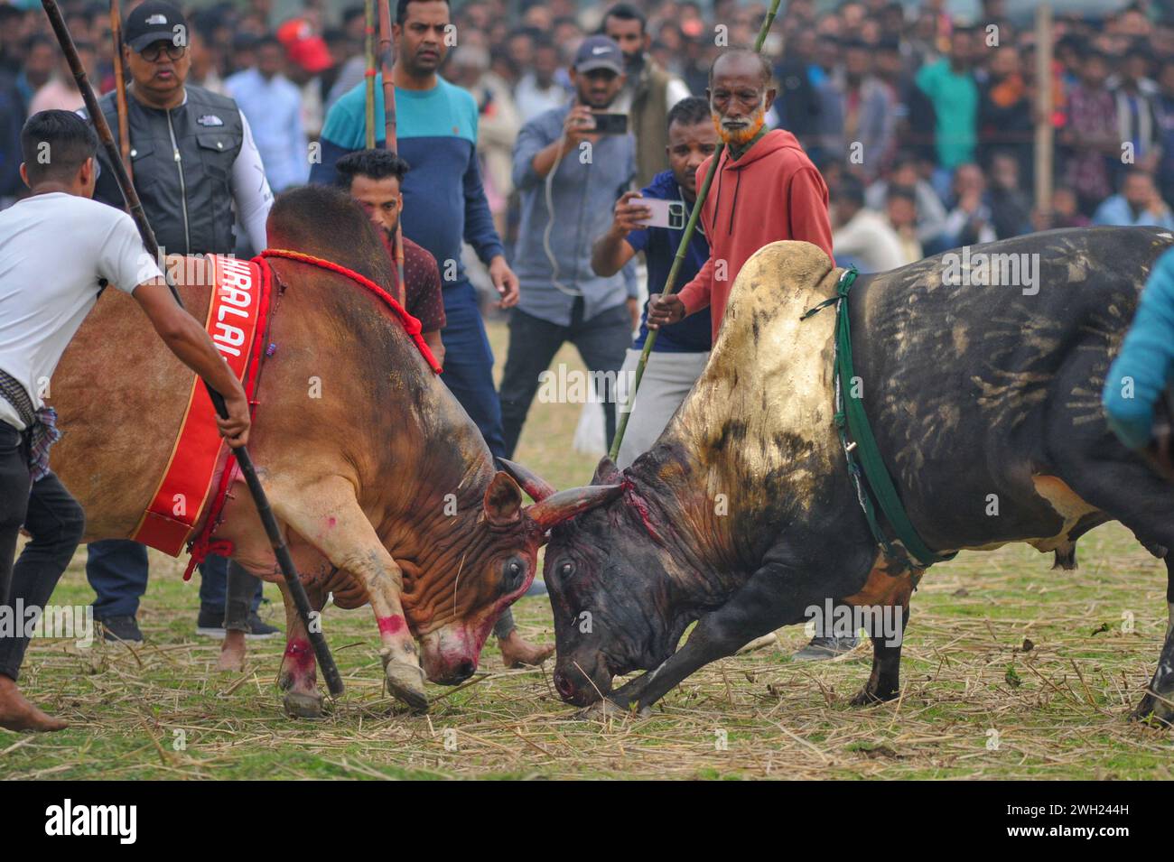 Khasarkandi field hi-res stock photography and images - Alamy