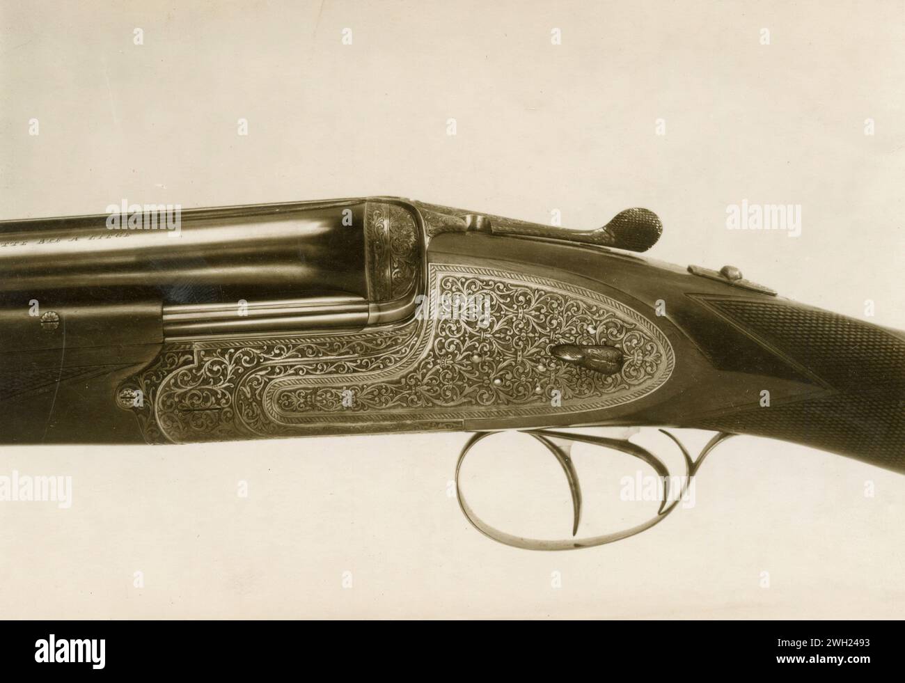Rifle engraving on Belgian Francotte carabine, Belgium 1900s Stock ...