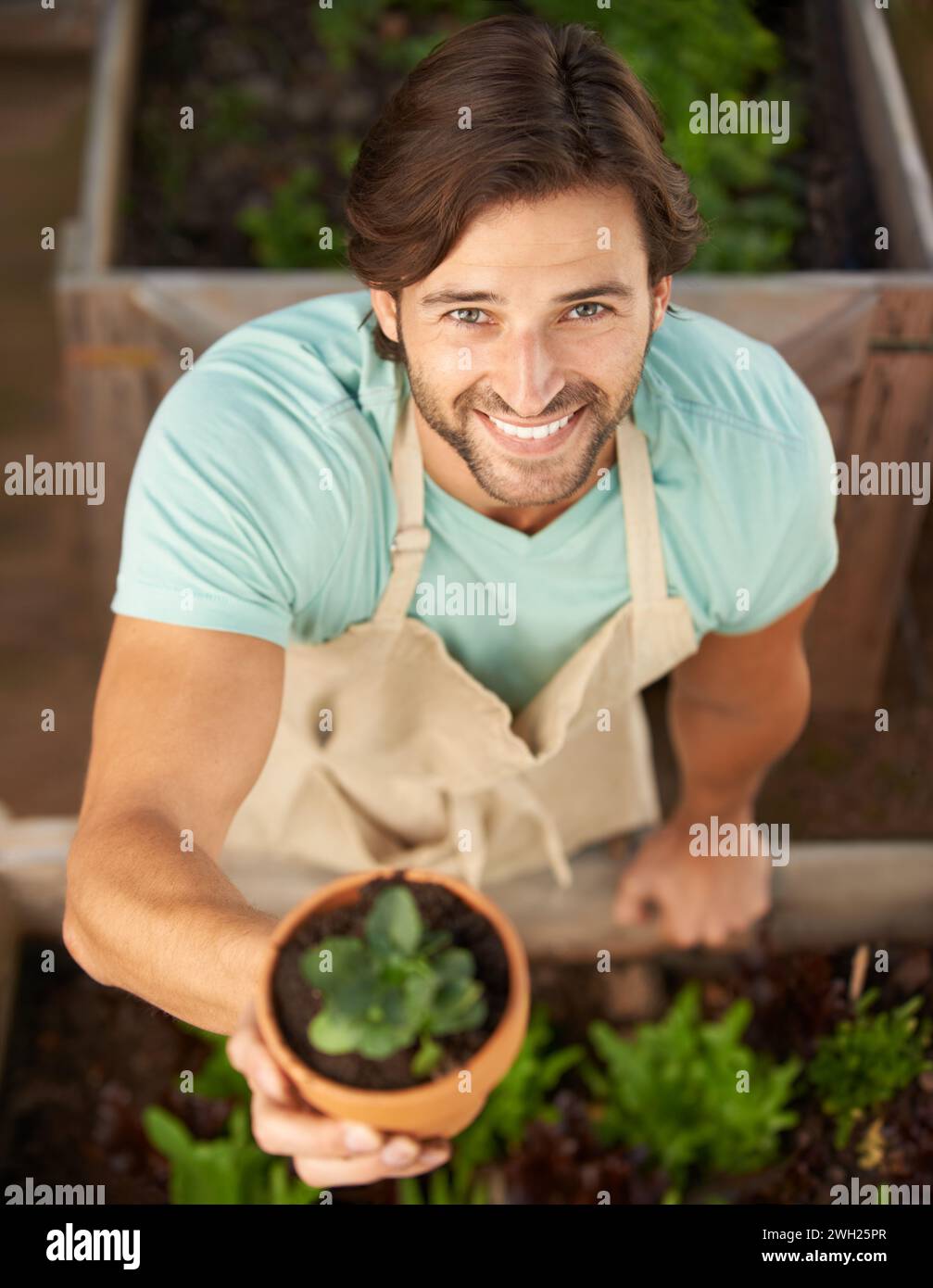 Man, smile and plant from above for gift, appreciation or sale at store ...