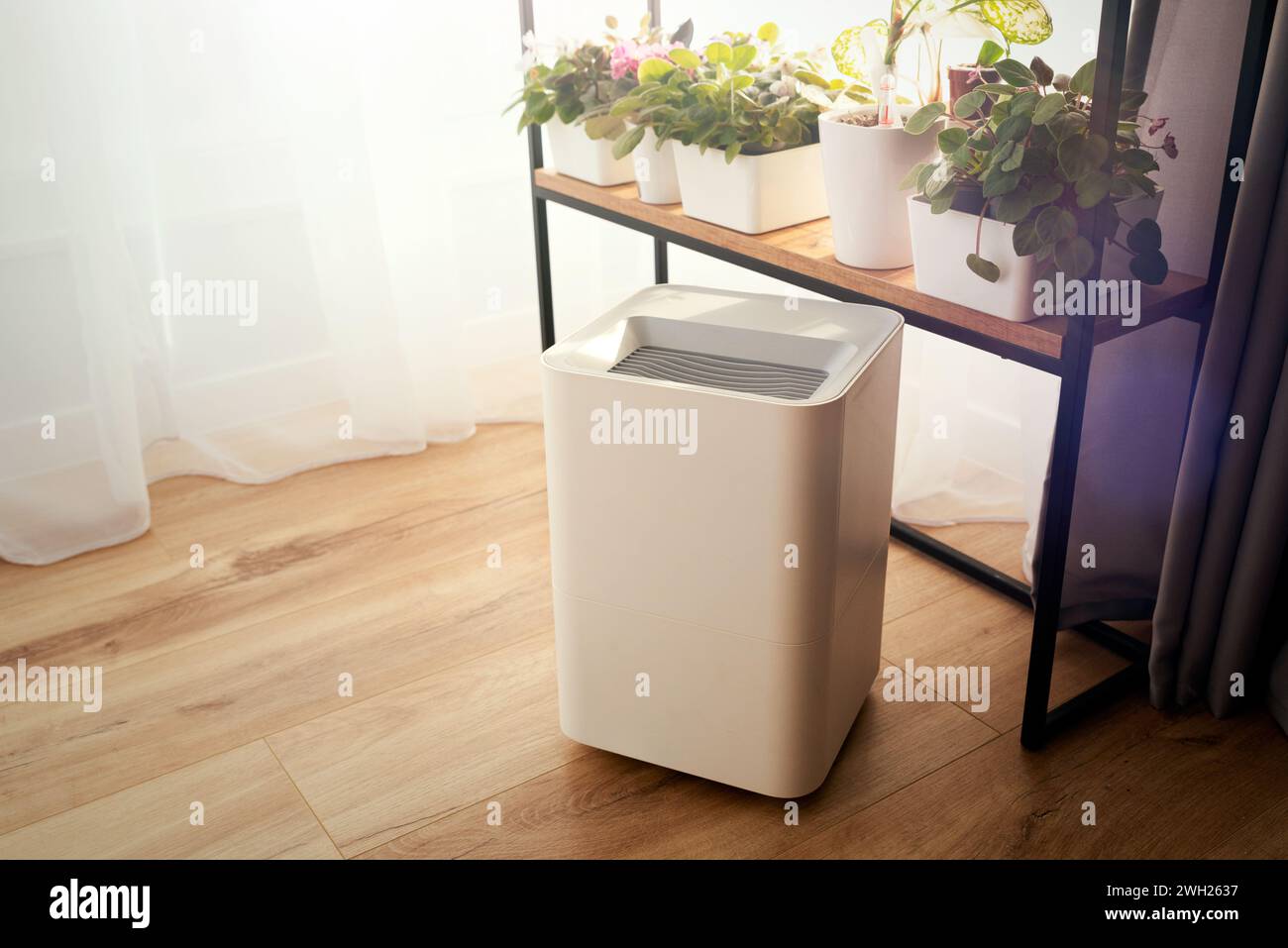 Modern air humidifier in home, clean air, healthcare concept Stock ...