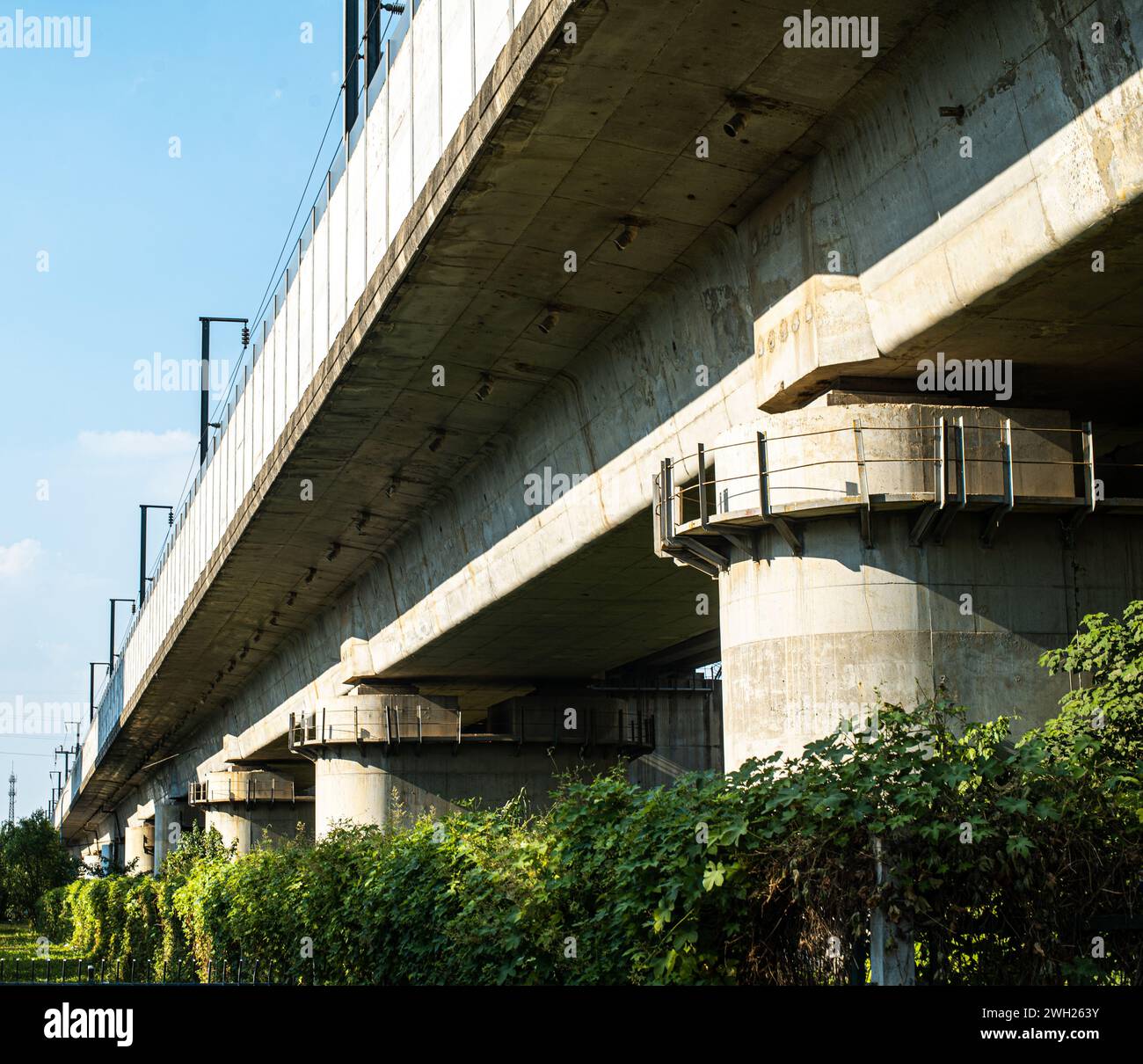 The bridge piers surrounded by green trees captured from a low angle ...