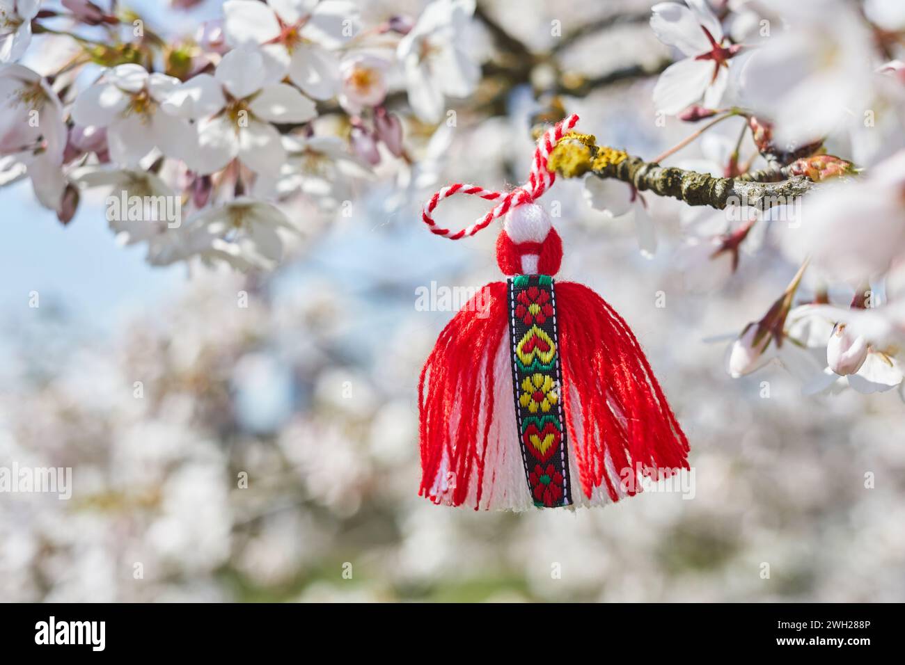 Bulgarian traditional spring decor Martenitsa on the cherry blossom ...
