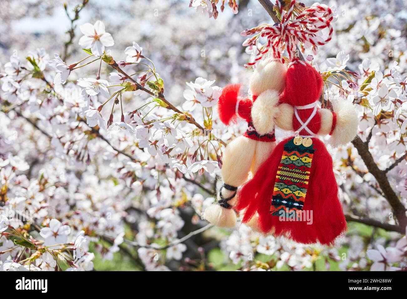 Bulgarian traditional spring decor Martenitsa on the cherry blossom ...