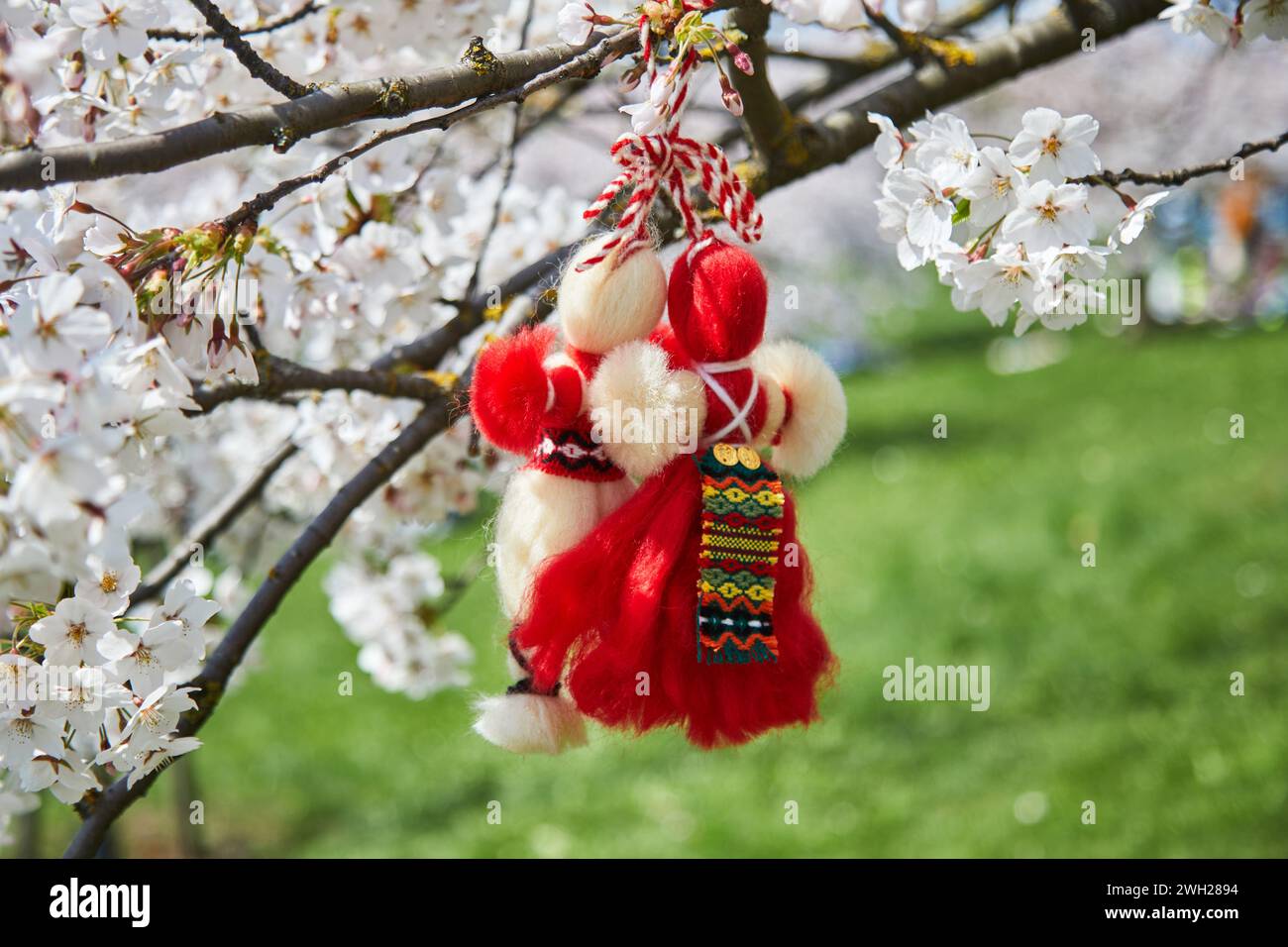 Bulgarian traditional spring decor Martenitsa on the cherry blossom ...