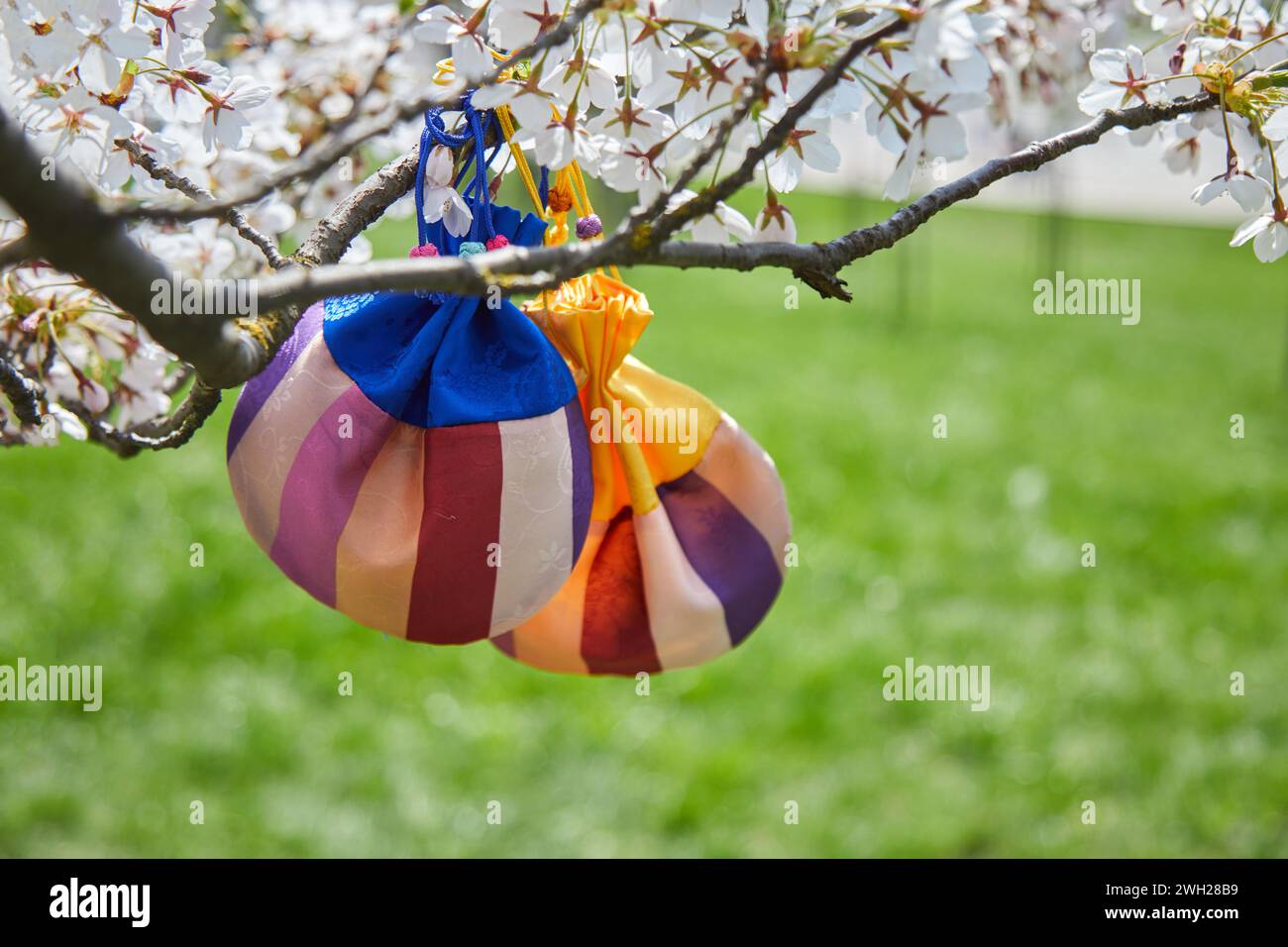 Seollal (lunar new year), korea hi-res stock photography and images - Alamy