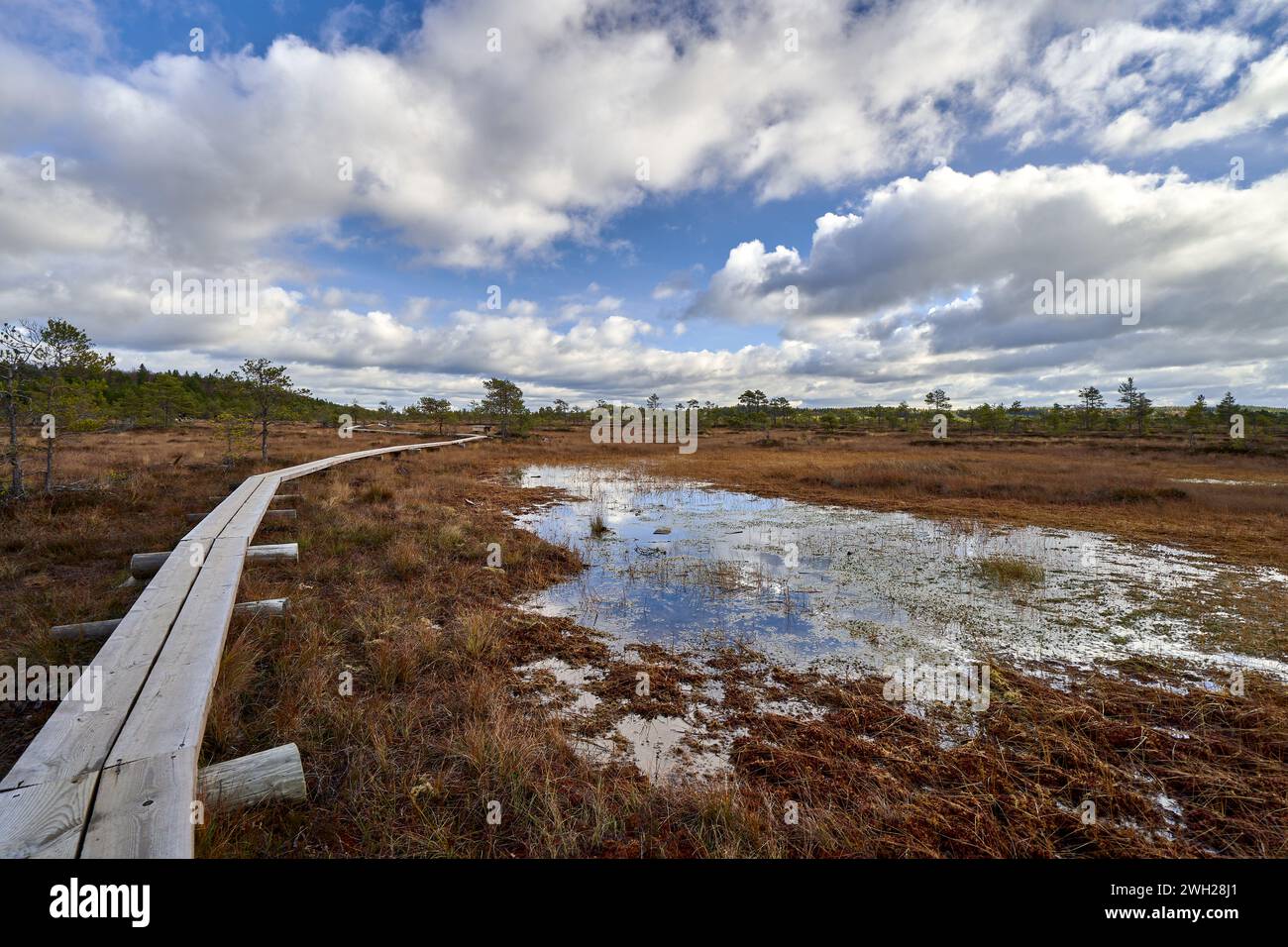 Brimming hi-res stock photography and images - Alamy