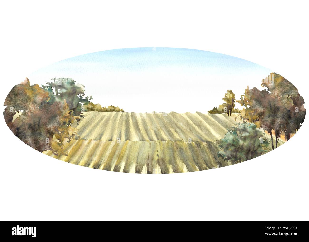 Rural landscape oval label with grape fields, vineyards, bushes, trees ...