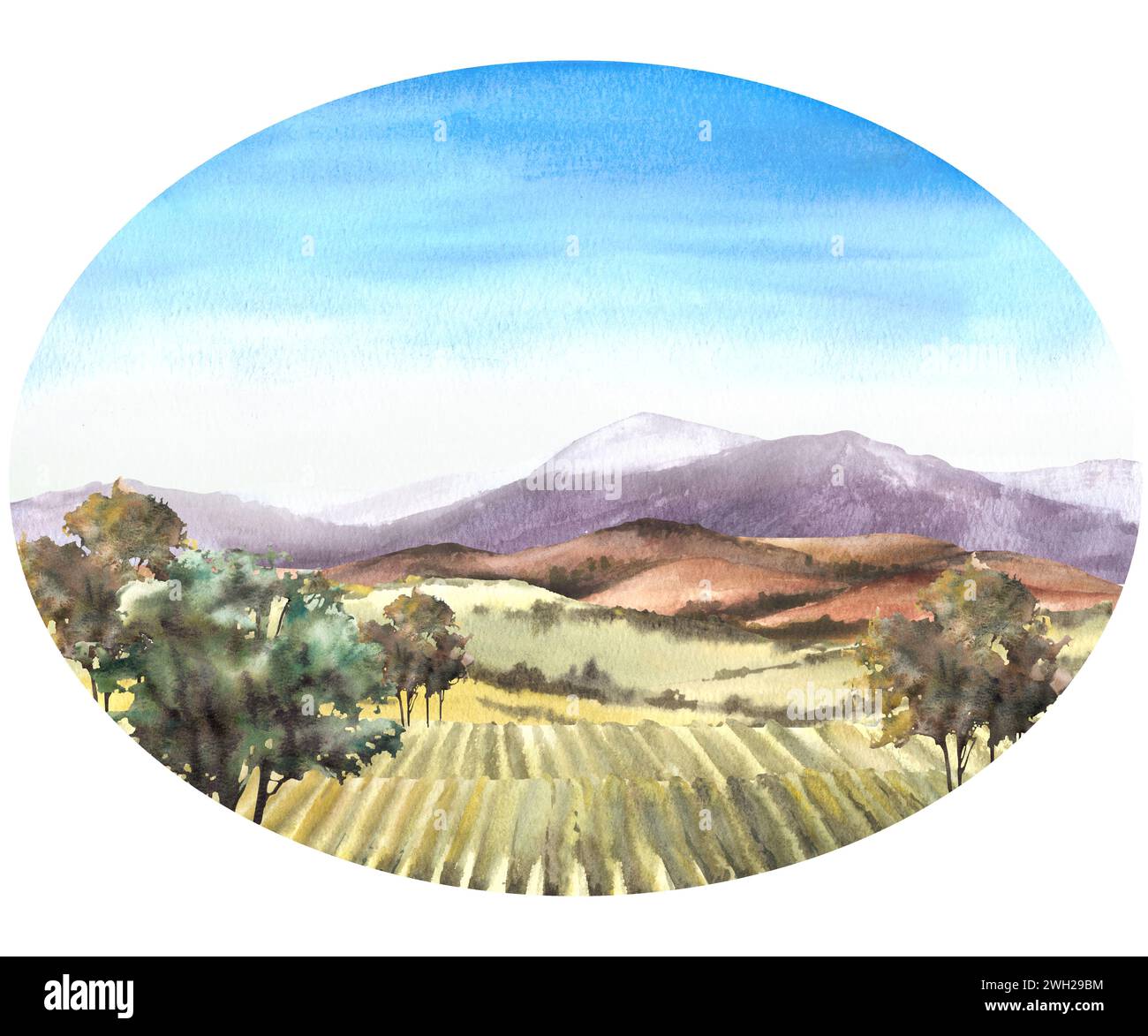Rural landscape oval label with grape fields, vineyards, bushes, trees ...