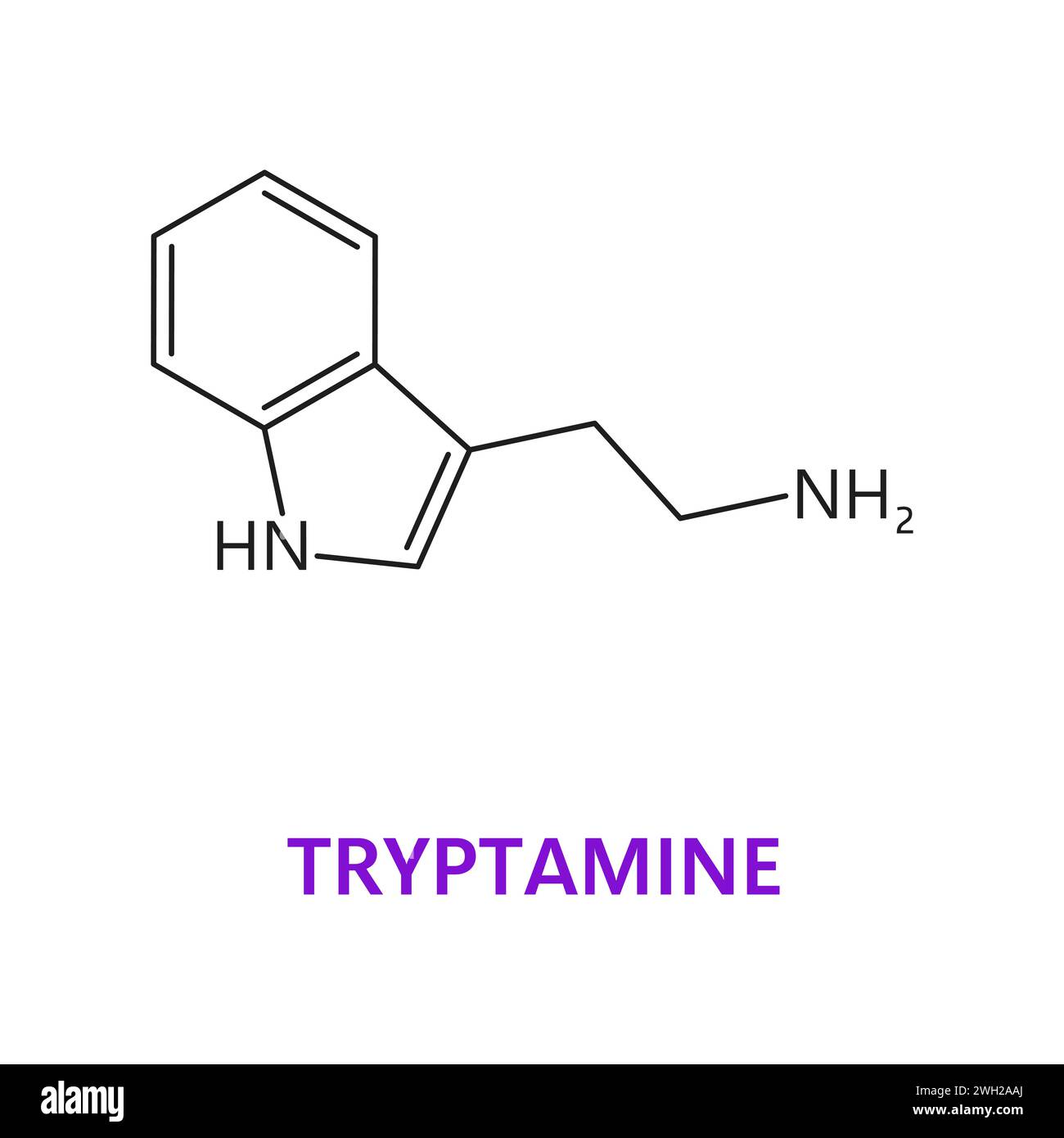 Neurotransmitter, Tryptamine chemical formula and molecule structure ...