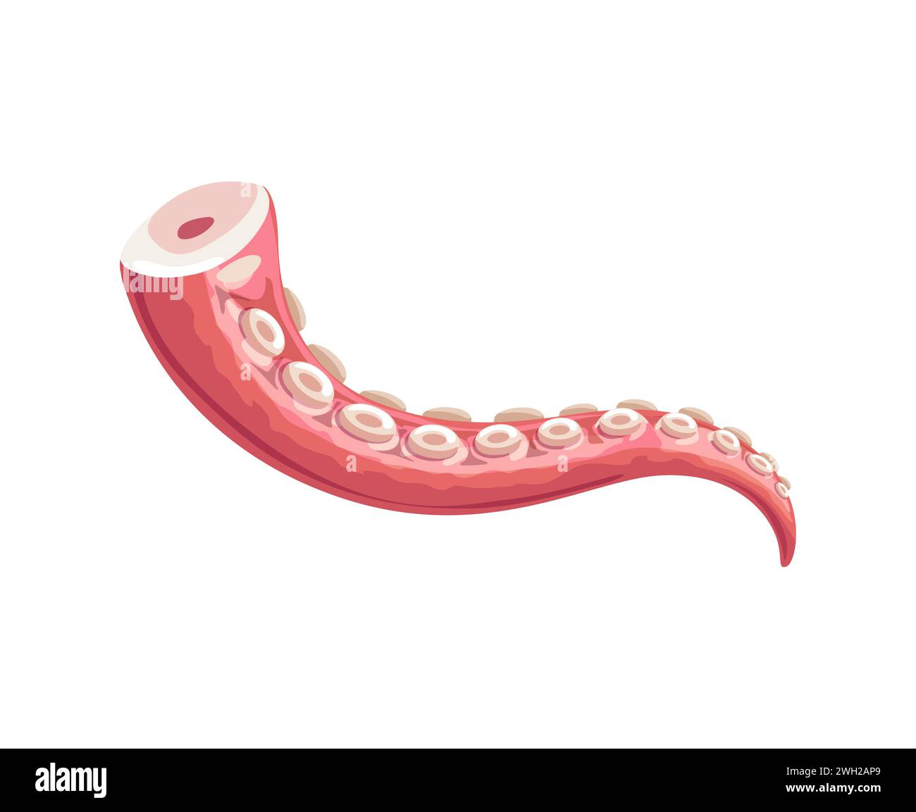 Octopus arm Stock Vector Images - Alamy