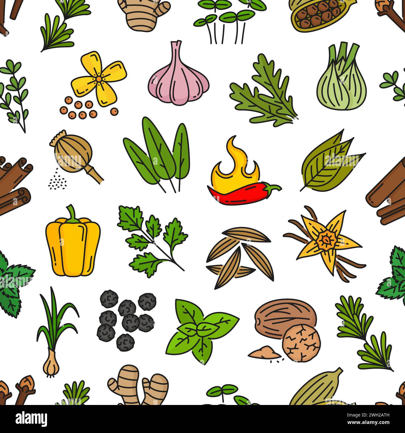 Thyme herbs black backdrop Stock Vector Images - Alamy