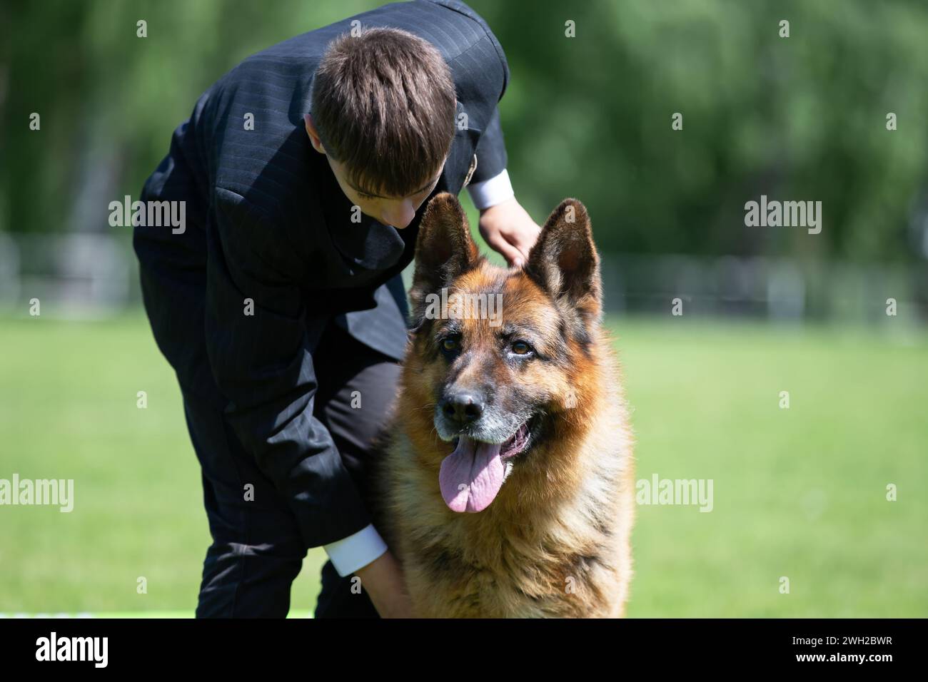 Beautiful German Shepherd with his owner at a dog show Stock Photo - Alamy