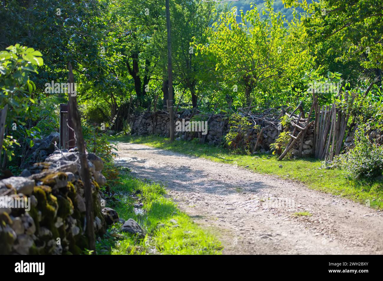 A narrow path in a Georgian settlement Stock Photo - Alamy