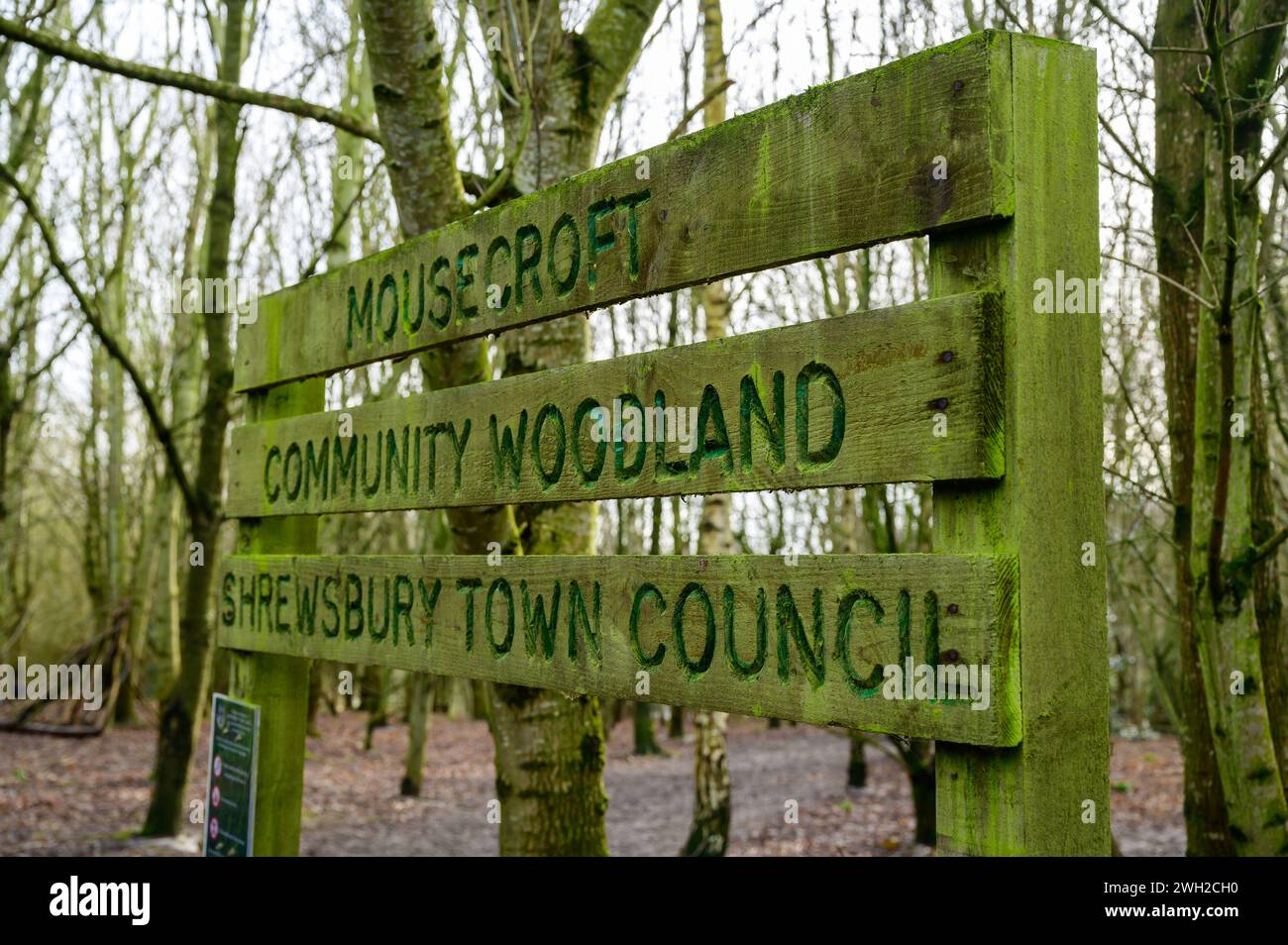 Wooden nature reserve sign covered in green algae and surrounded by ...