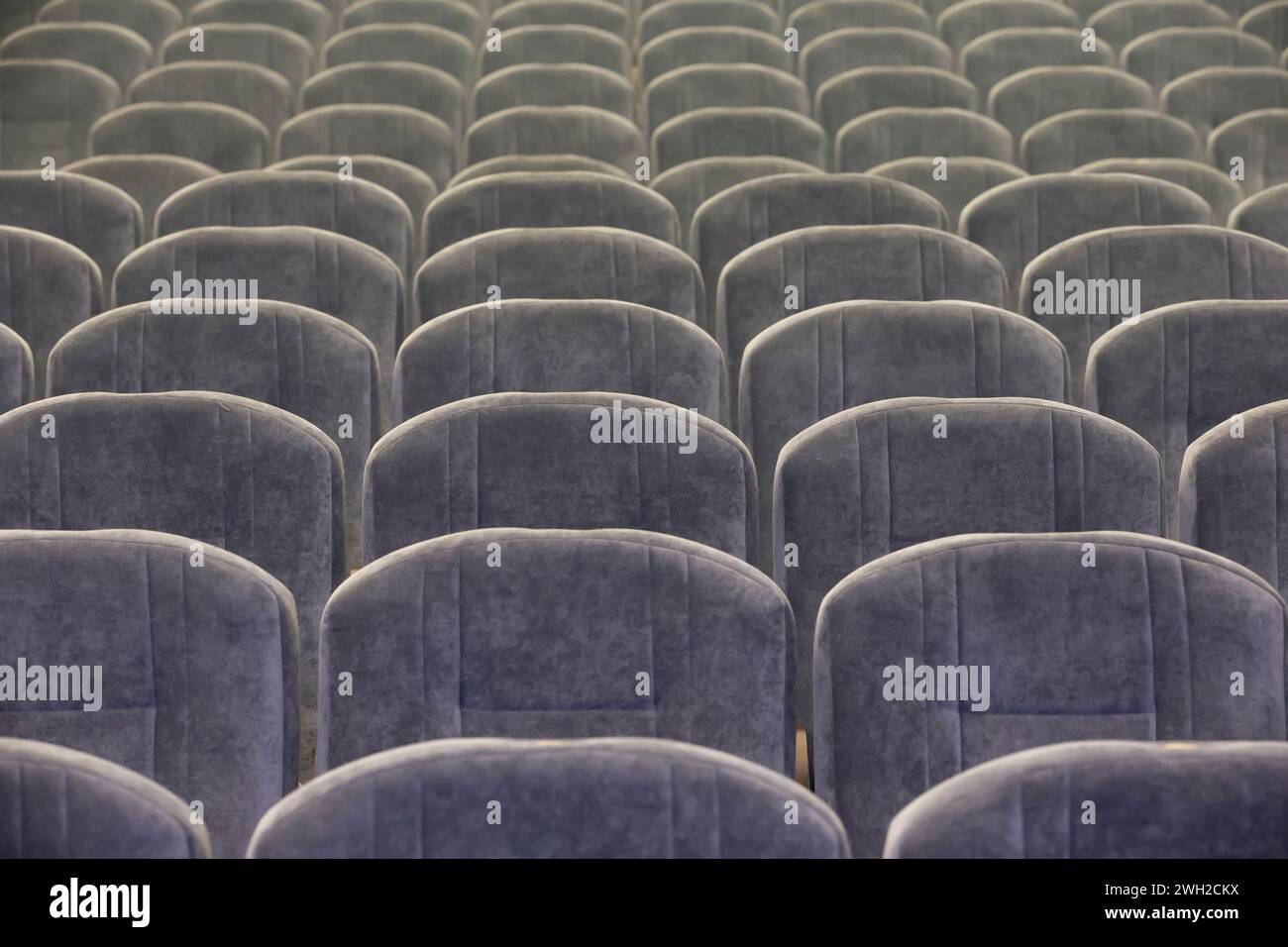 Background gray chairs are empty in the auditorium or concert hall ...
