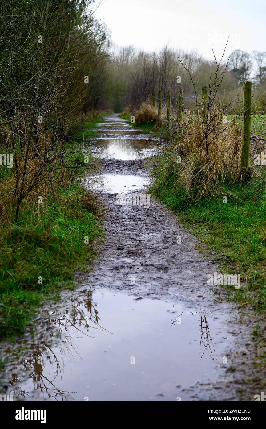 Large puddles on a path through a nature reserve Stock Photo - Alamy