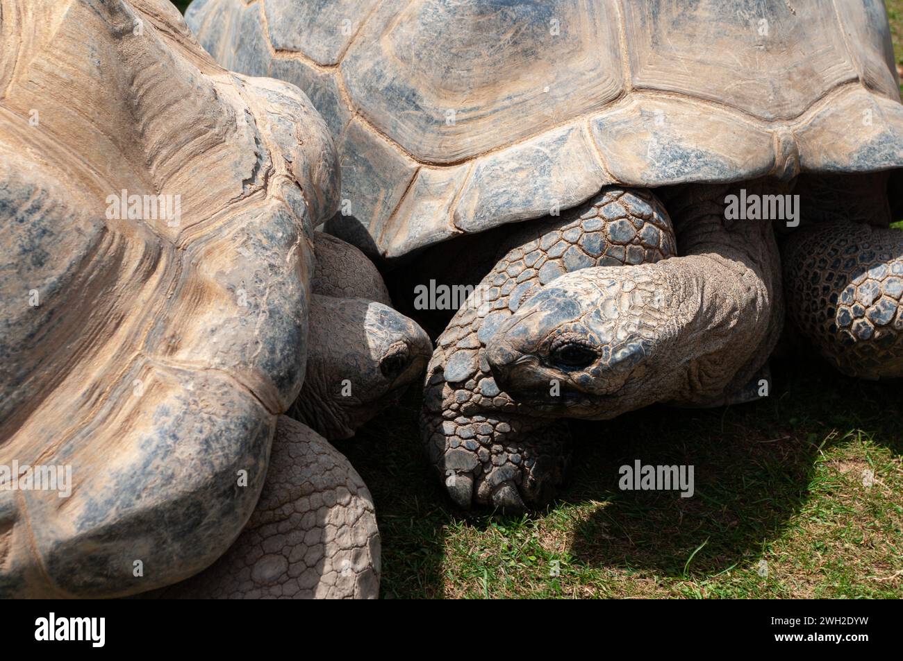 Respect wildlife hi-res stock photography and images - Alamy