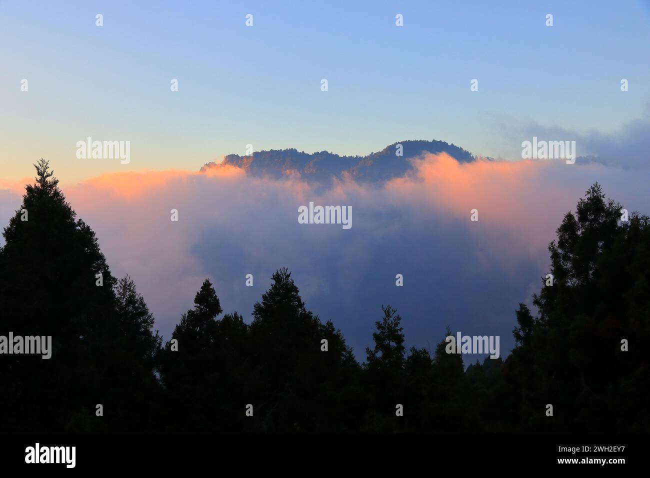 Alishan mountains sunset with cloud inversion. Alishan National Scenic ...