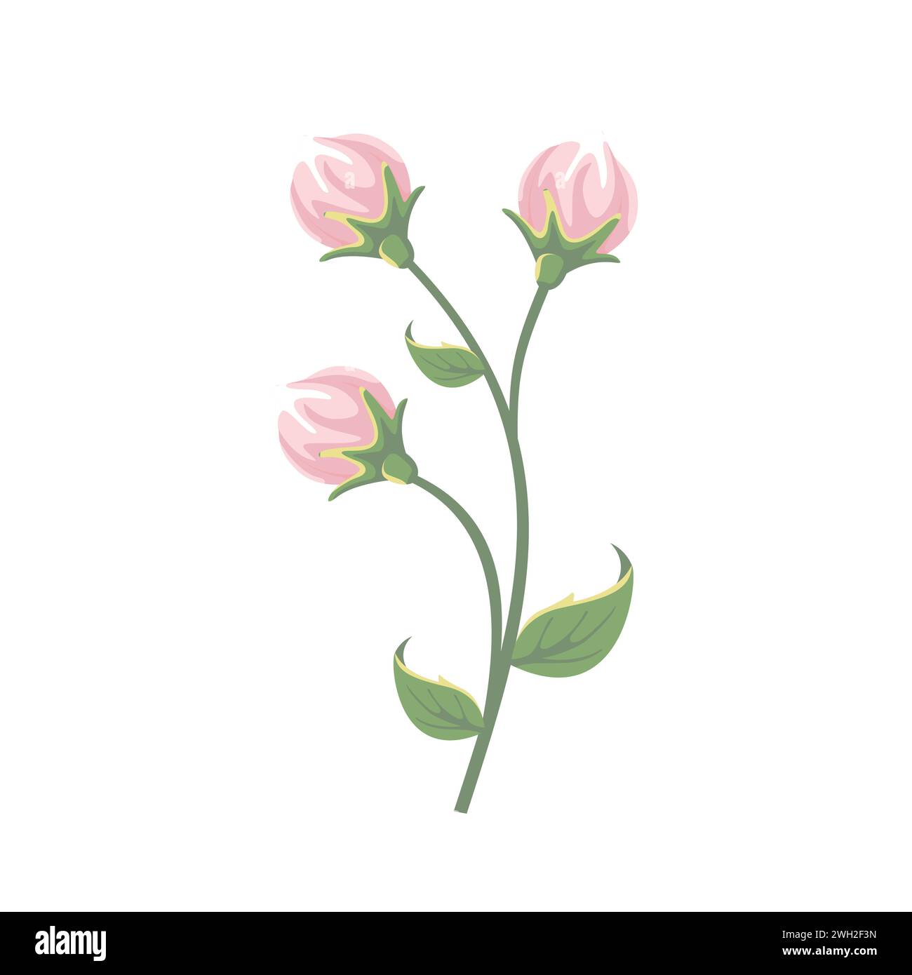 Flower green stem hand Stock Vector Images - Alamy