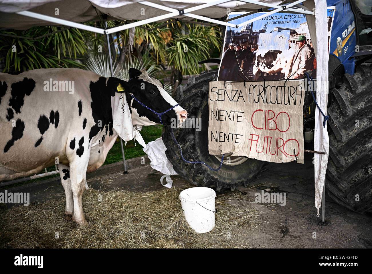 Agricoltori protestano a Sanremo, durante la 74esima edizione del ...
