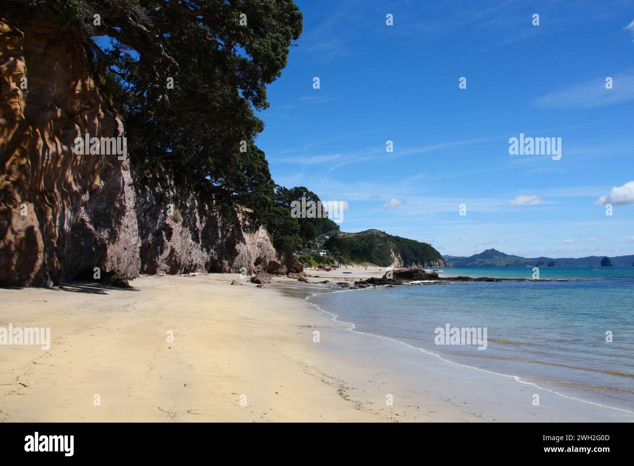 Coromandel beautiful nature in New Zealand. Hahei Beach Stock Photo - Alamy