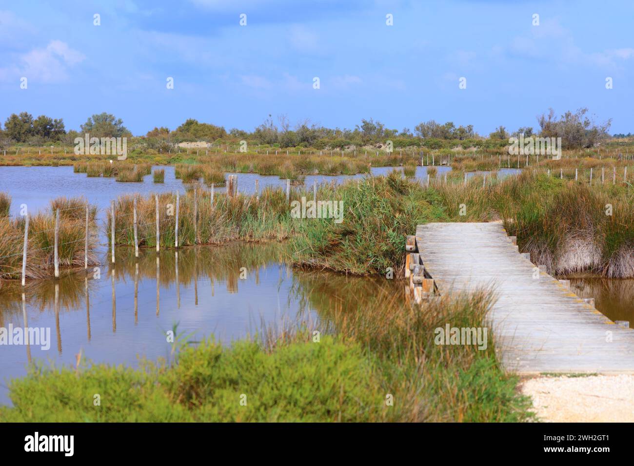 Camargue natural region in southern France. Ramsar wetland known for ...
