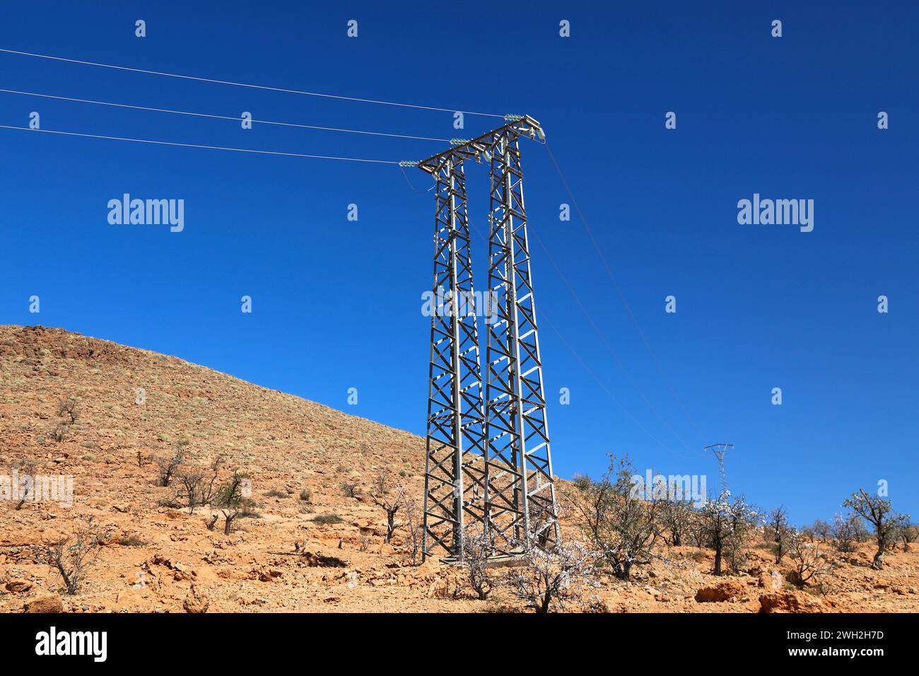 Utility pole in desert hi-res stock photography and images - Alamy