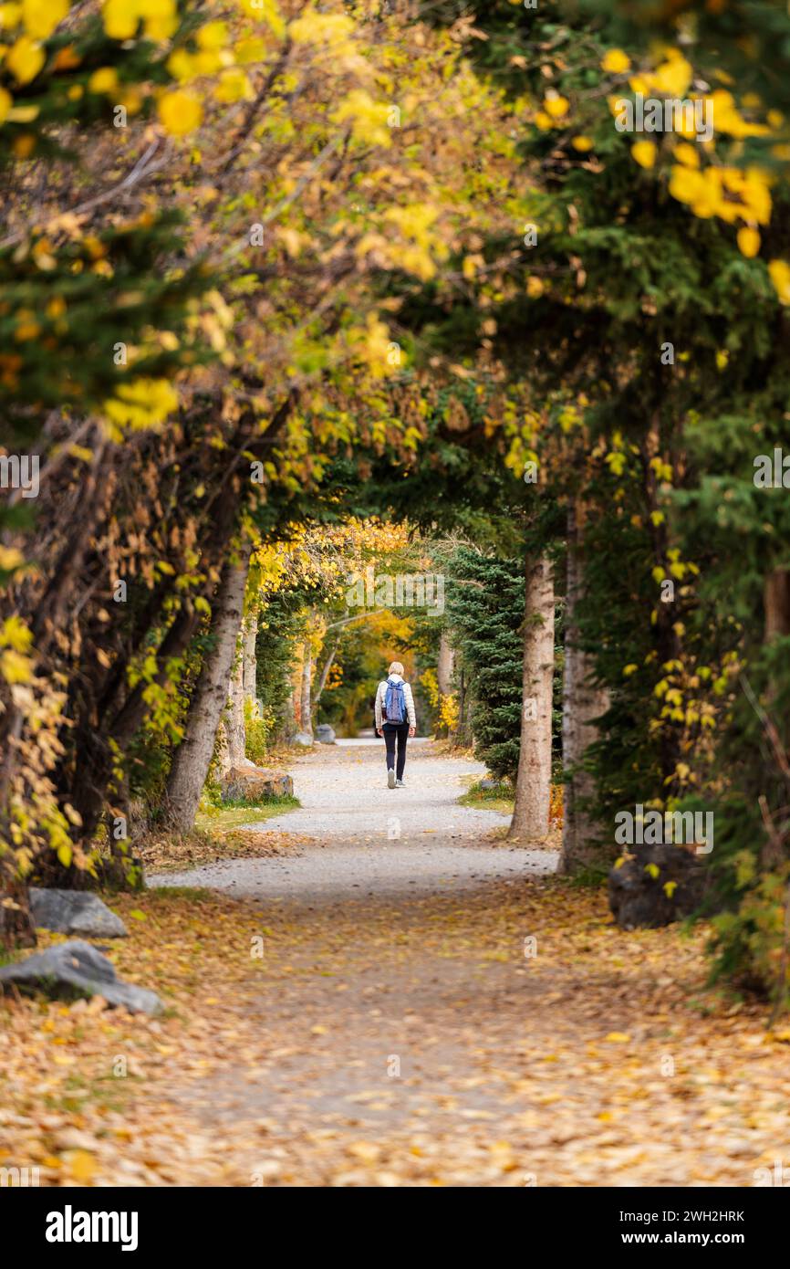 People walking in a tunnel of forest trees. Spur Line Trail in fall ...