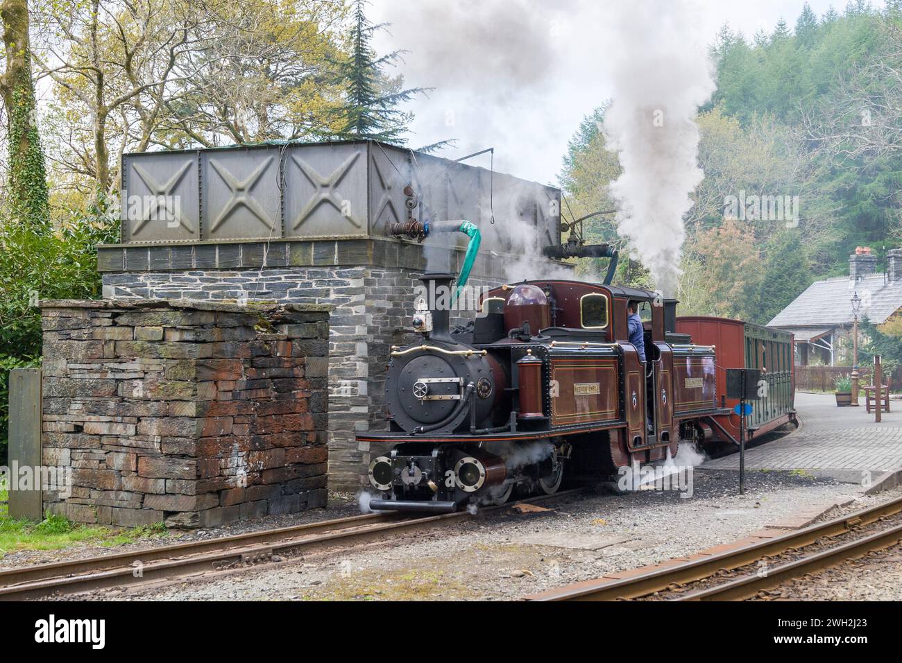 A narrow gauge steam train taking on water at Tan y Bwlch on the ...
