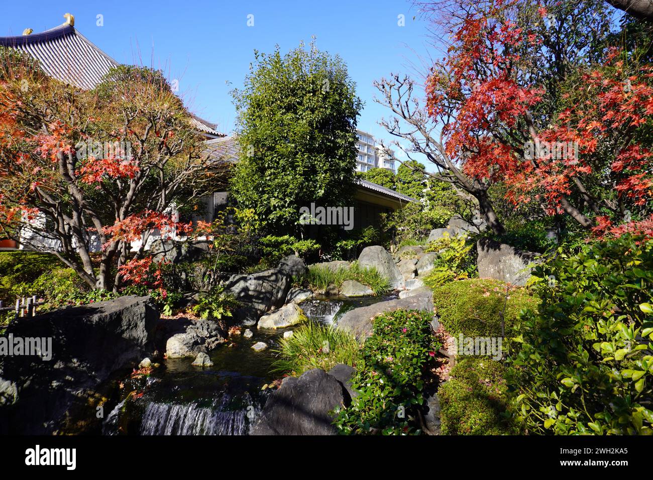 Traditional japanese scene hi-res stock photography and images - Alamy