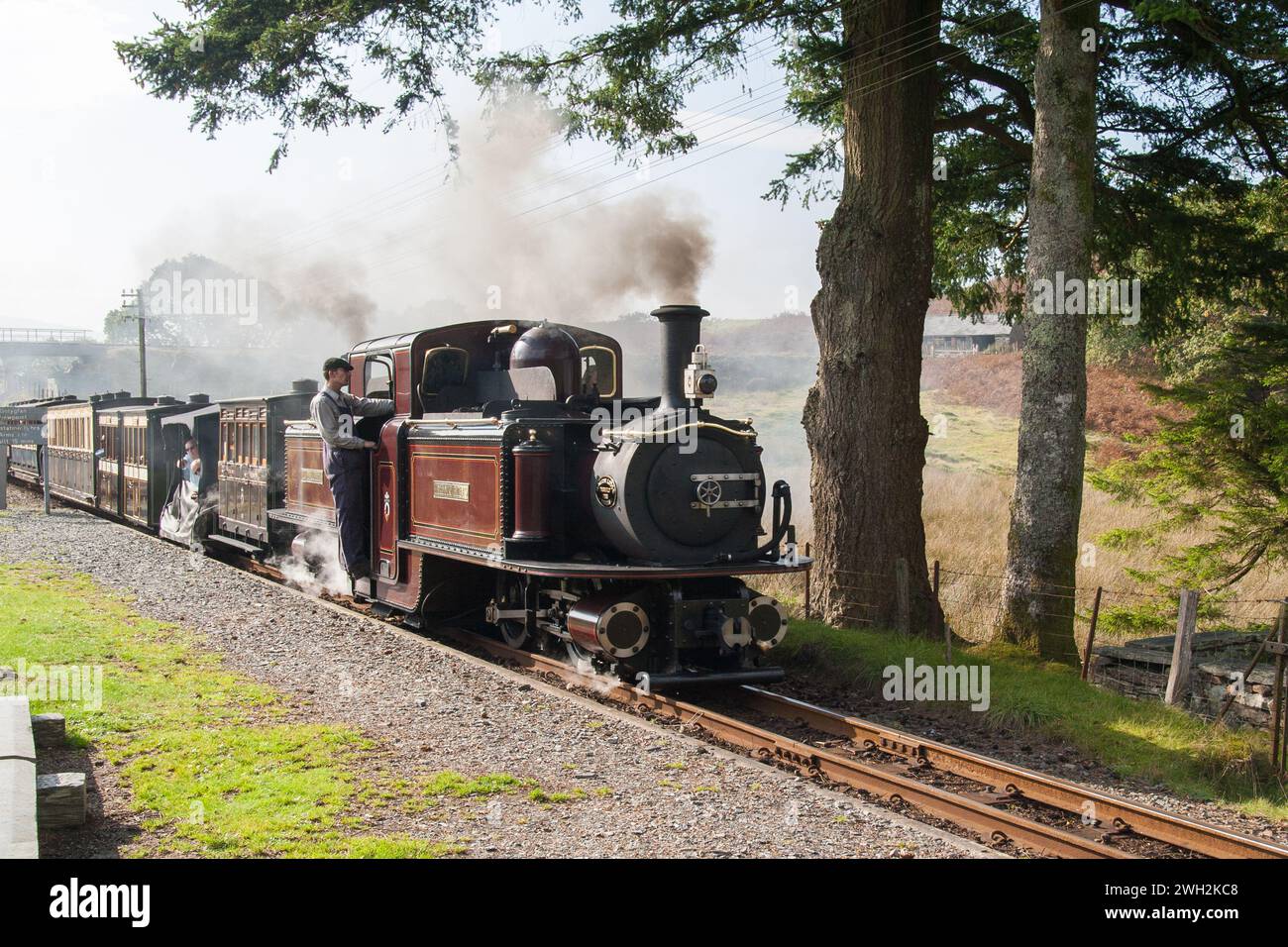 A steam passenger train on the Ffestiniog railway at Dduallt Stock ...