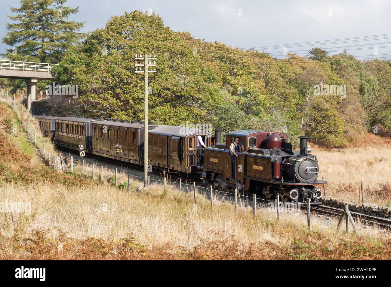 A steam passenger train on the Ffestiniog railway at Dduallt Stock ...