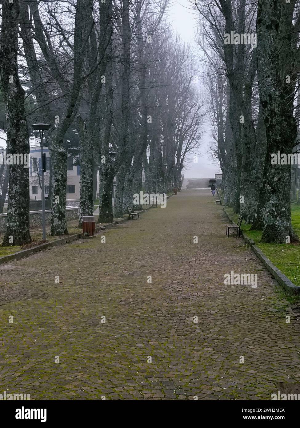Foggy path in Agerola, Italy park Stock Photo - Alamy