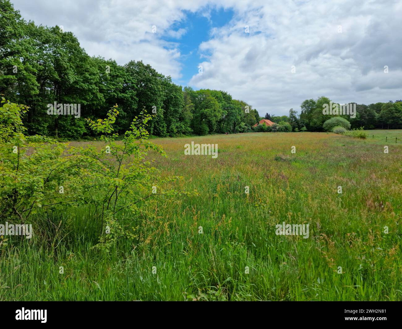Rural landscape of western part of Dutch province Groningen Stock Photo ...