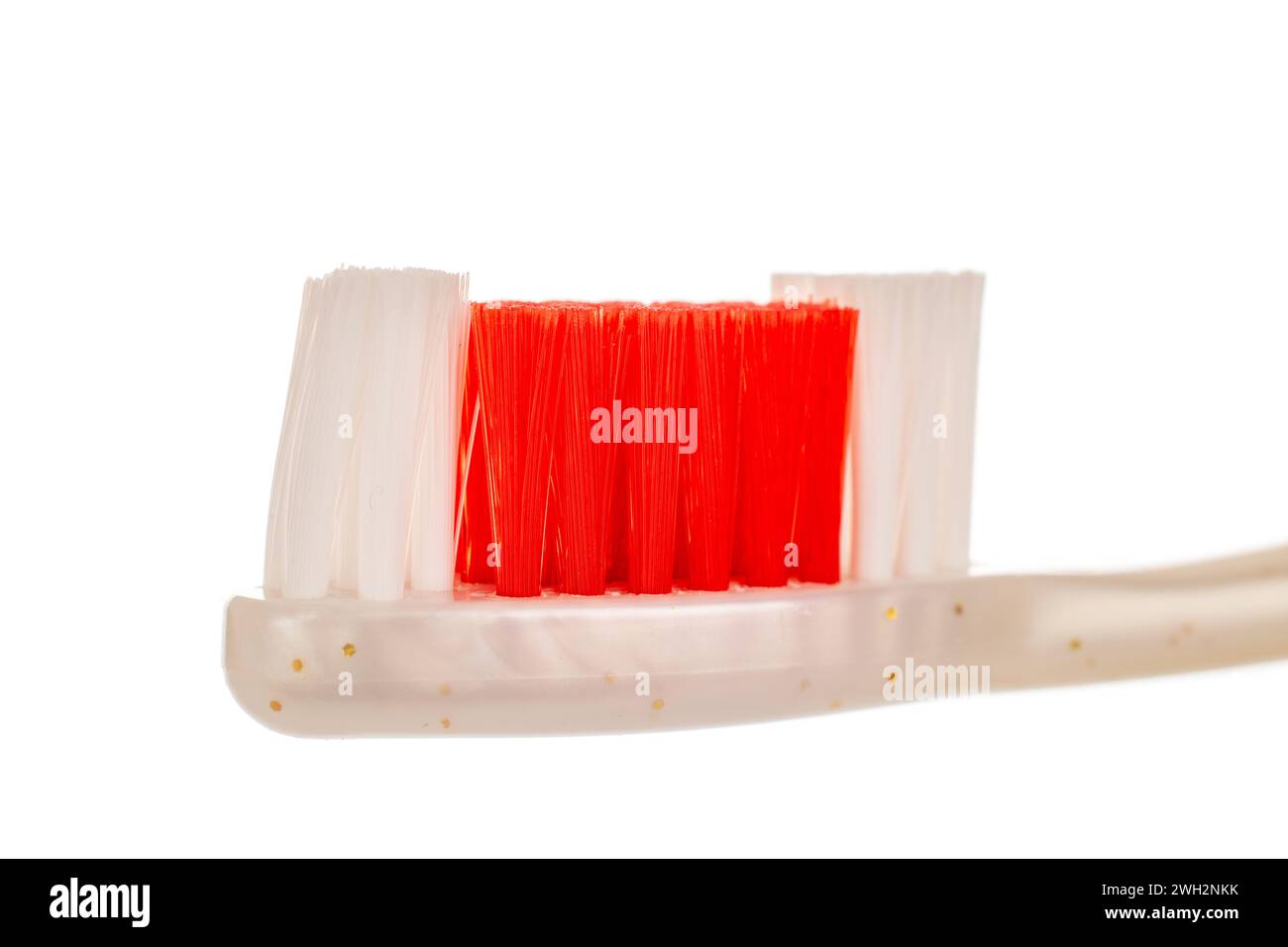 One toothbrush, macro, isolated on white background Stock Photo - Alamy