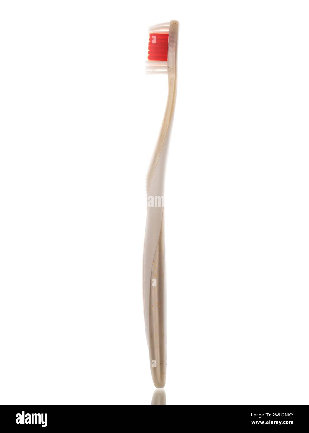 One toothbrush, macro, isolated on white background Stock Photo - Alamy