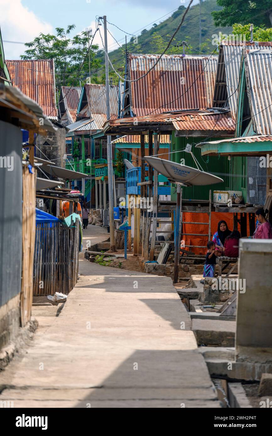 Komodo island and hi-res stock photography and images - Alamy