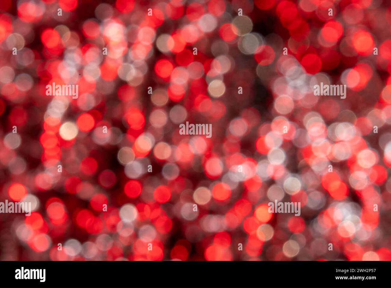 Focused and unfocused hi-res stock photography and images - Alamy