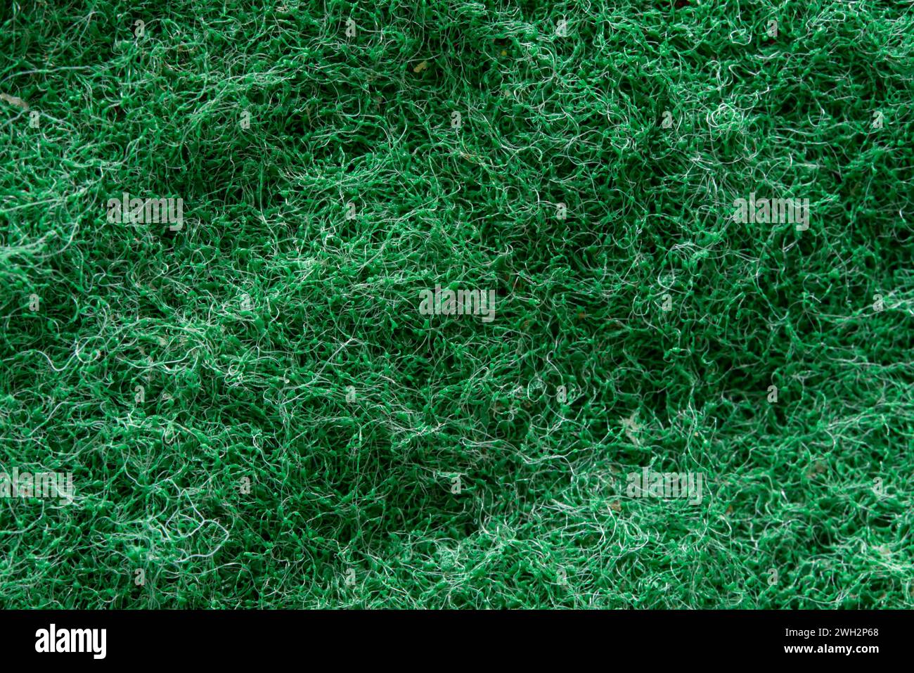 Sponge up close hi-res stock photography and images - Alamy