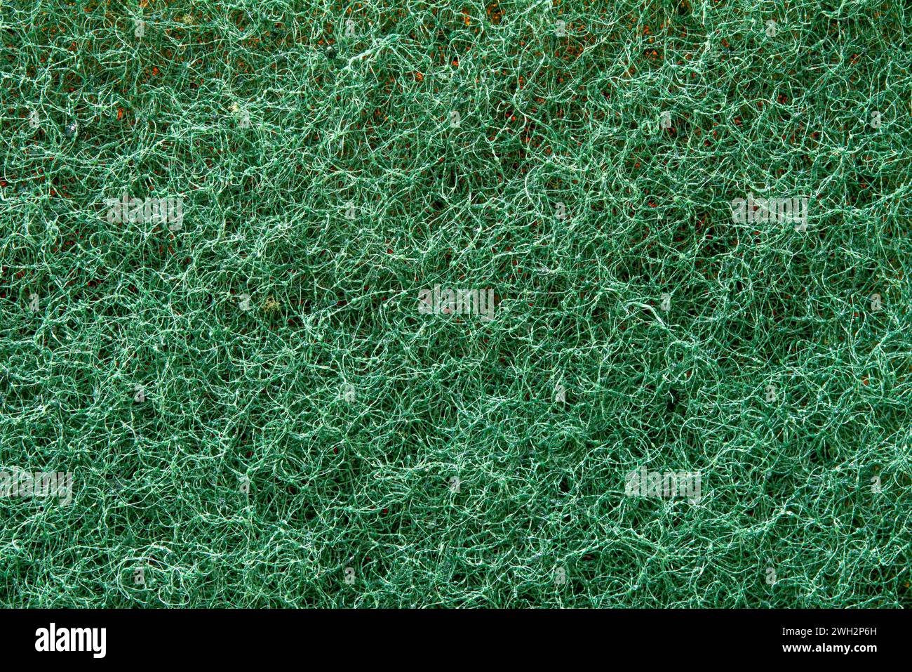Close up of texture of green side of a rub sponge as a background Stock ...